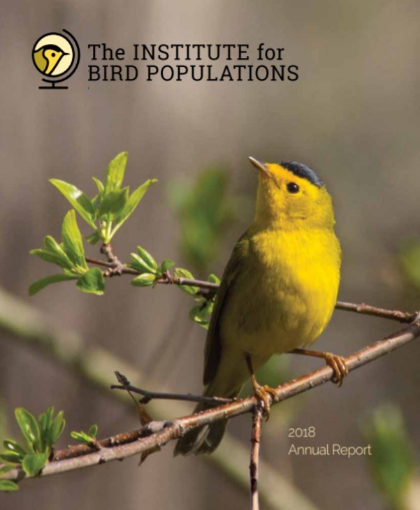 The Institute for Bird Populations – Home Page