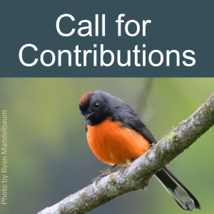 The Institute for Bird Populations – Home Page