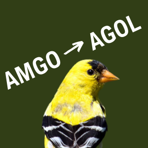 The Institute for Bird Populations – Home Page