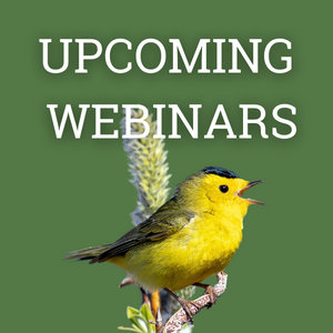 The Institute for Bird Populations – Home Page